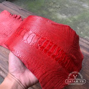 Da chân đà điểu - Da thật và dụng cụ làm da Hà Nội